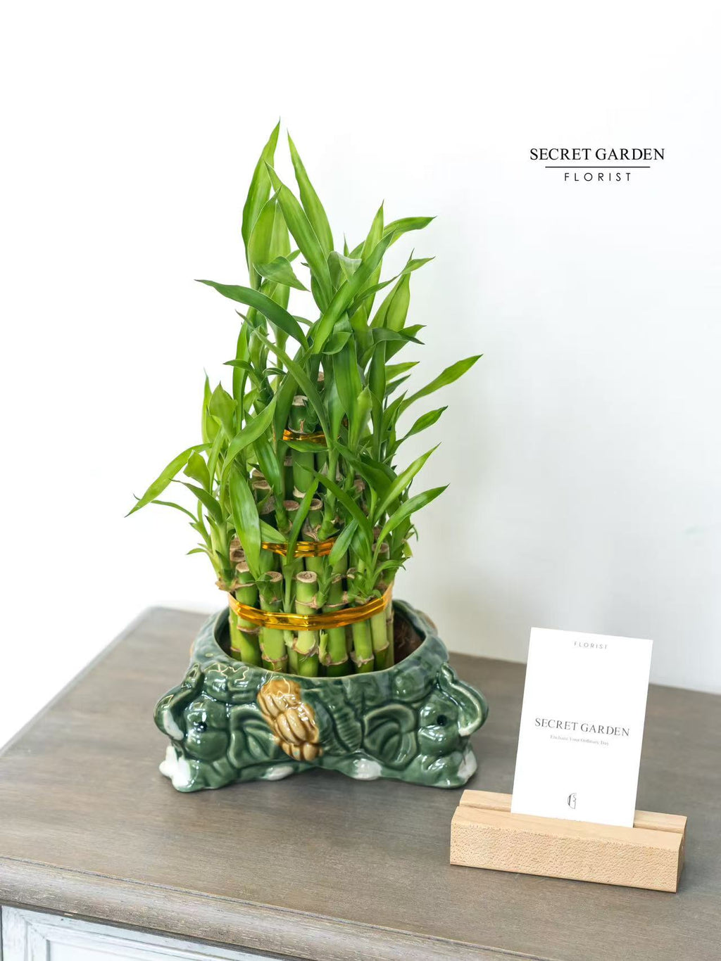 Lucky Bamboo – Secret Garden Flower Design